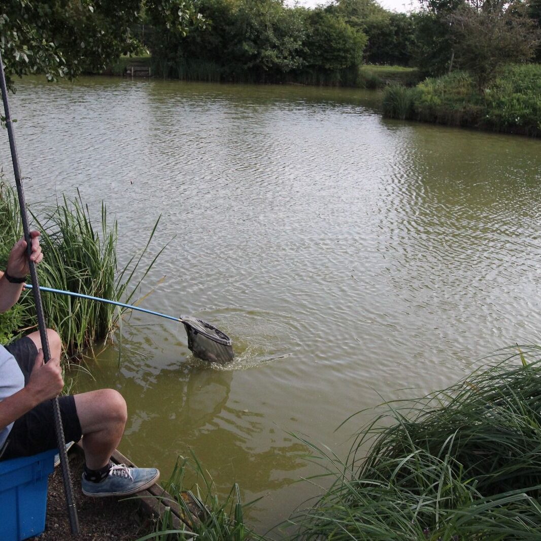 KLAA – Kings Lynn Angling Association